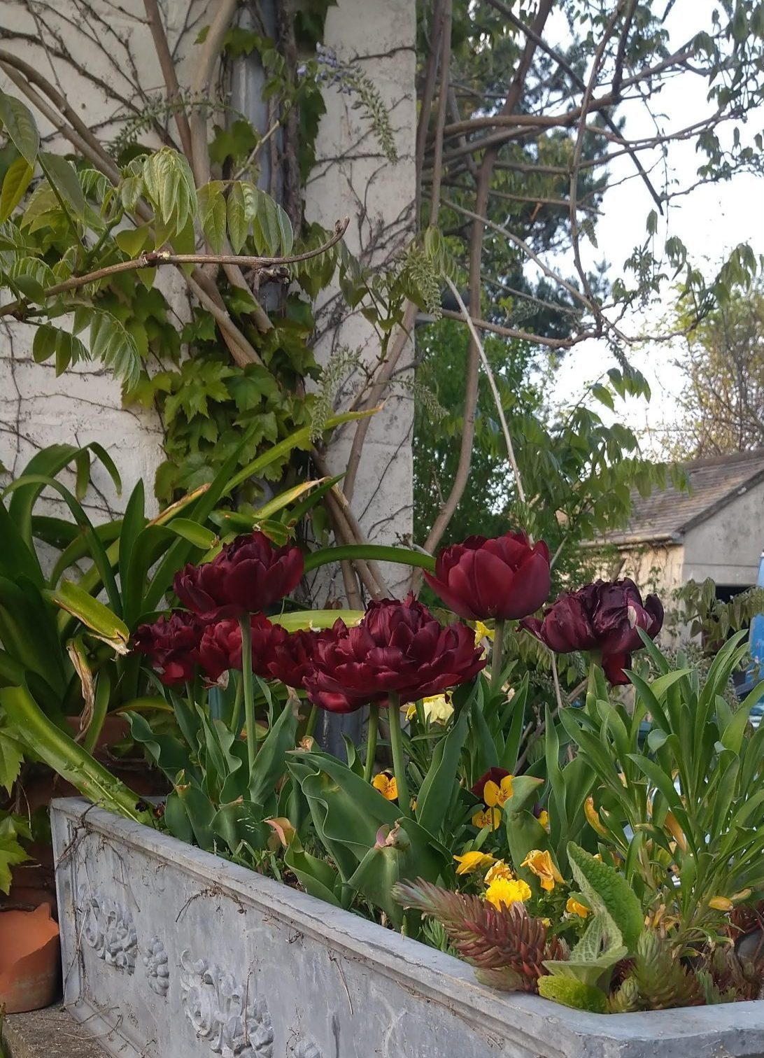 Pure Landscape Project